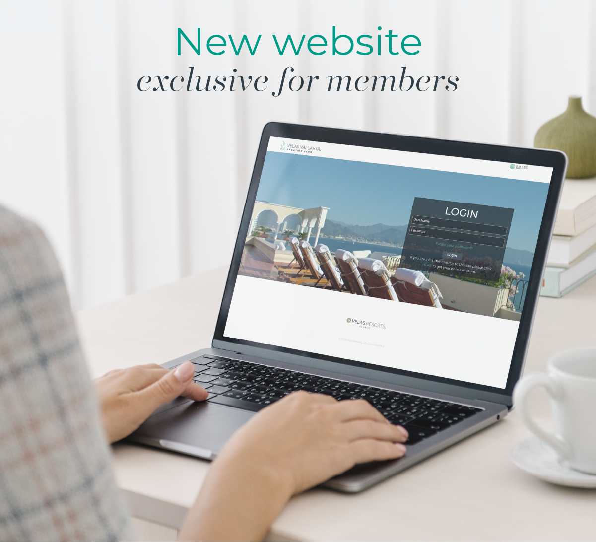 Discover our new website